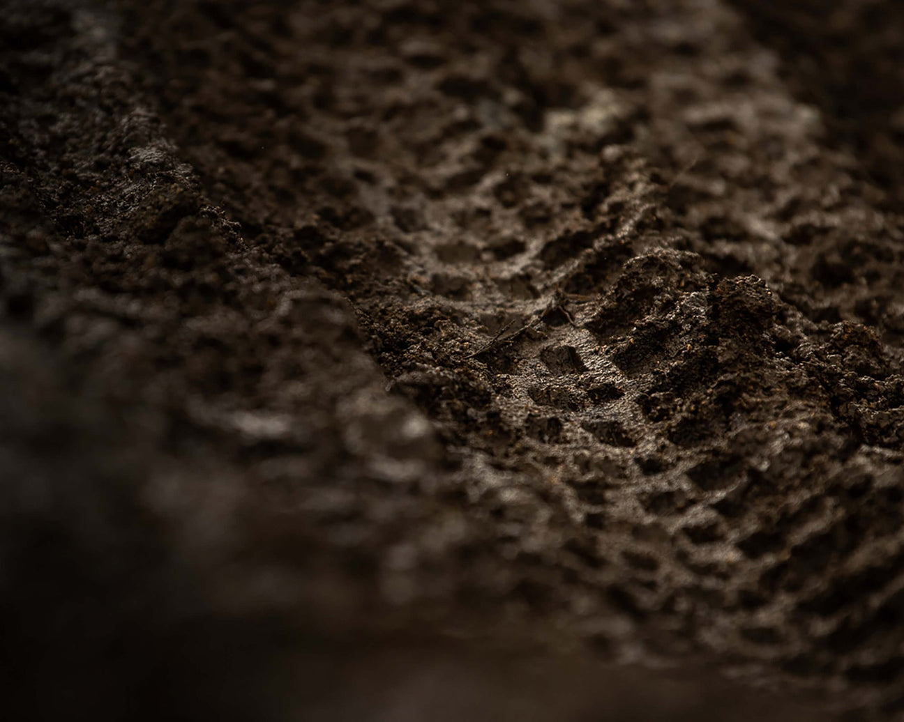 ARC Offset Rim – Race Face