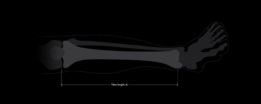 Crank Selection Guide – Race Face